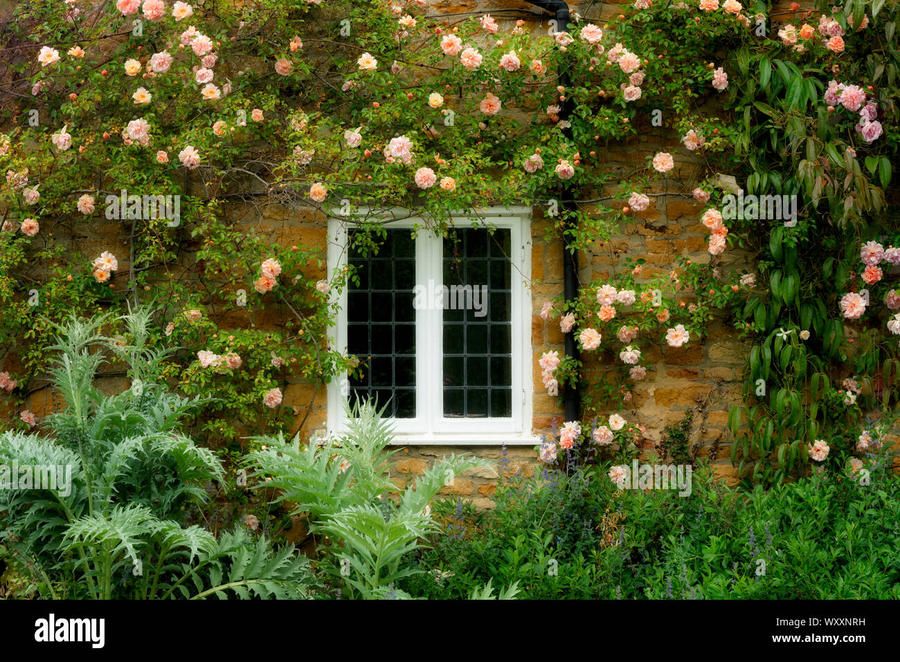 Adlestrop High Resolution Stock Photography and Images - Alamy