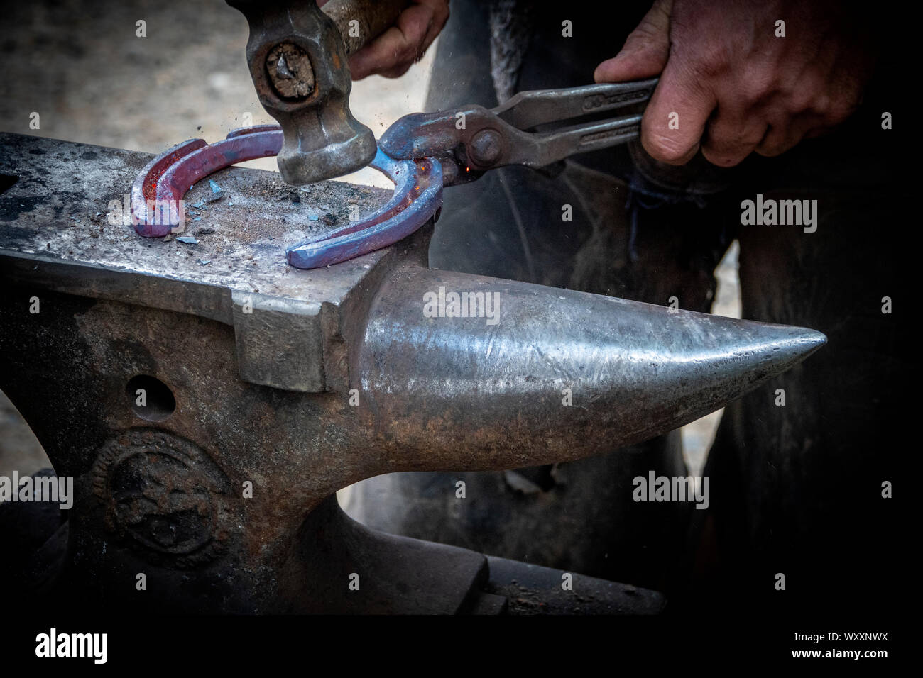 Anvil bone hi-res stock photography and images - Alamy