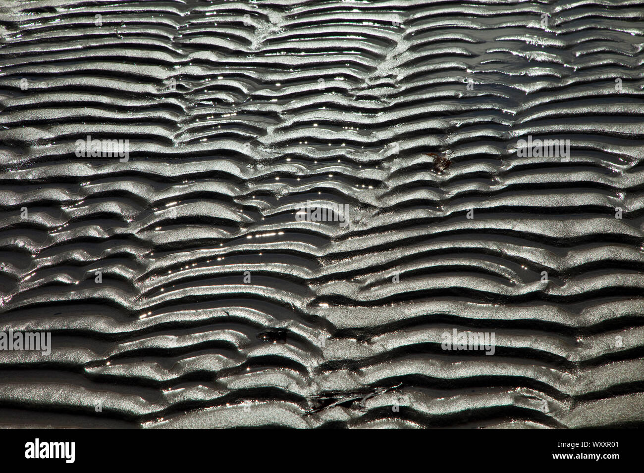 Tidal Patterns (Diseños de marea) Tràigh Uuige - Androil Beach. Lewis ...