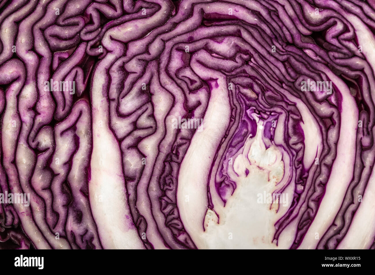Sliced Red cabbage detail. Food background Stock Photo - Alamy