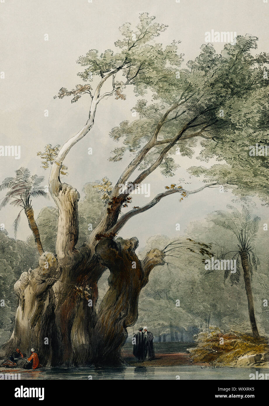David Roberts 1796 - 1864 - The Holy Tree Of Metereah Stock Photo - Alamy