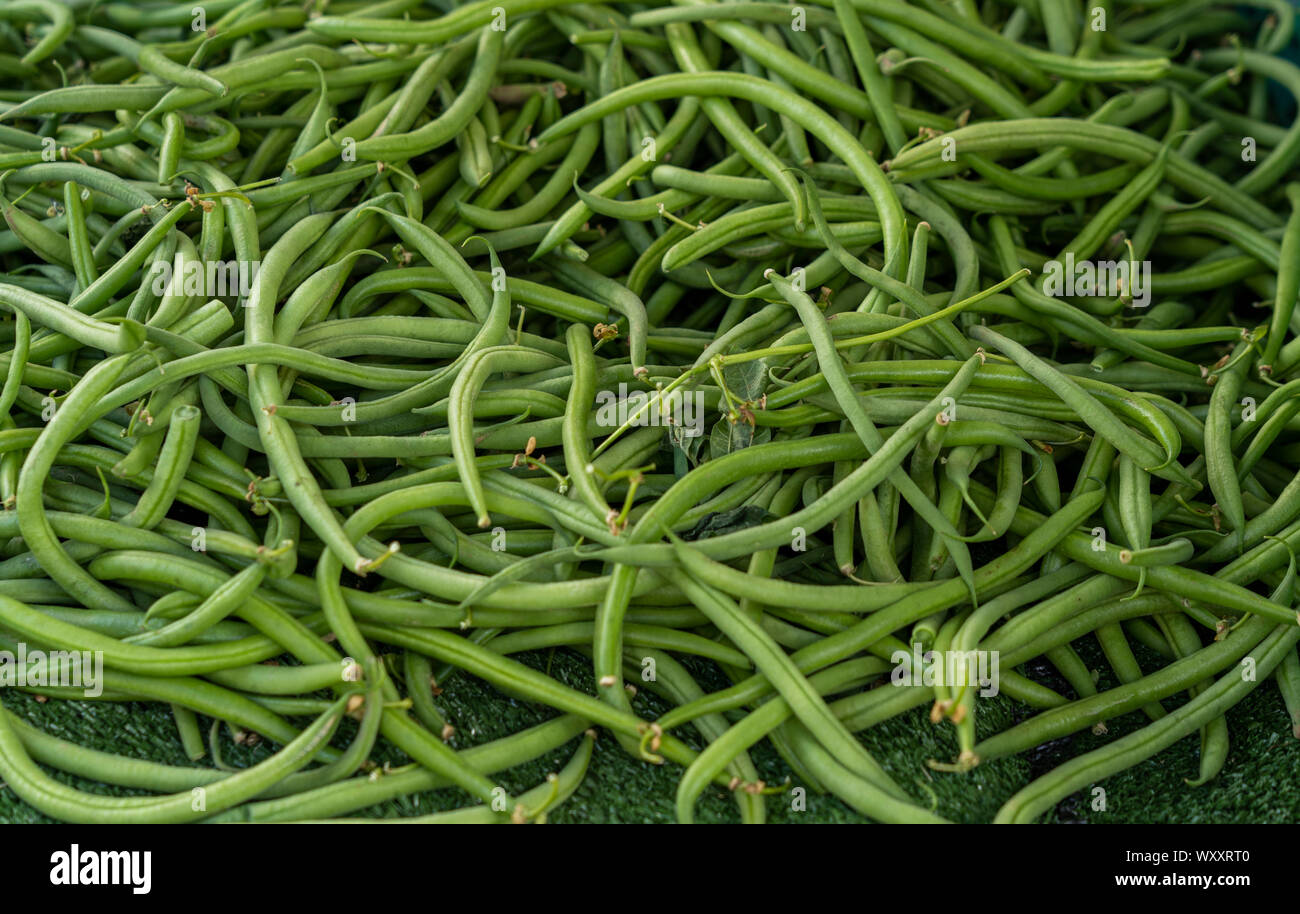 French green beans loose on a market stall Stock Photo - Alamy