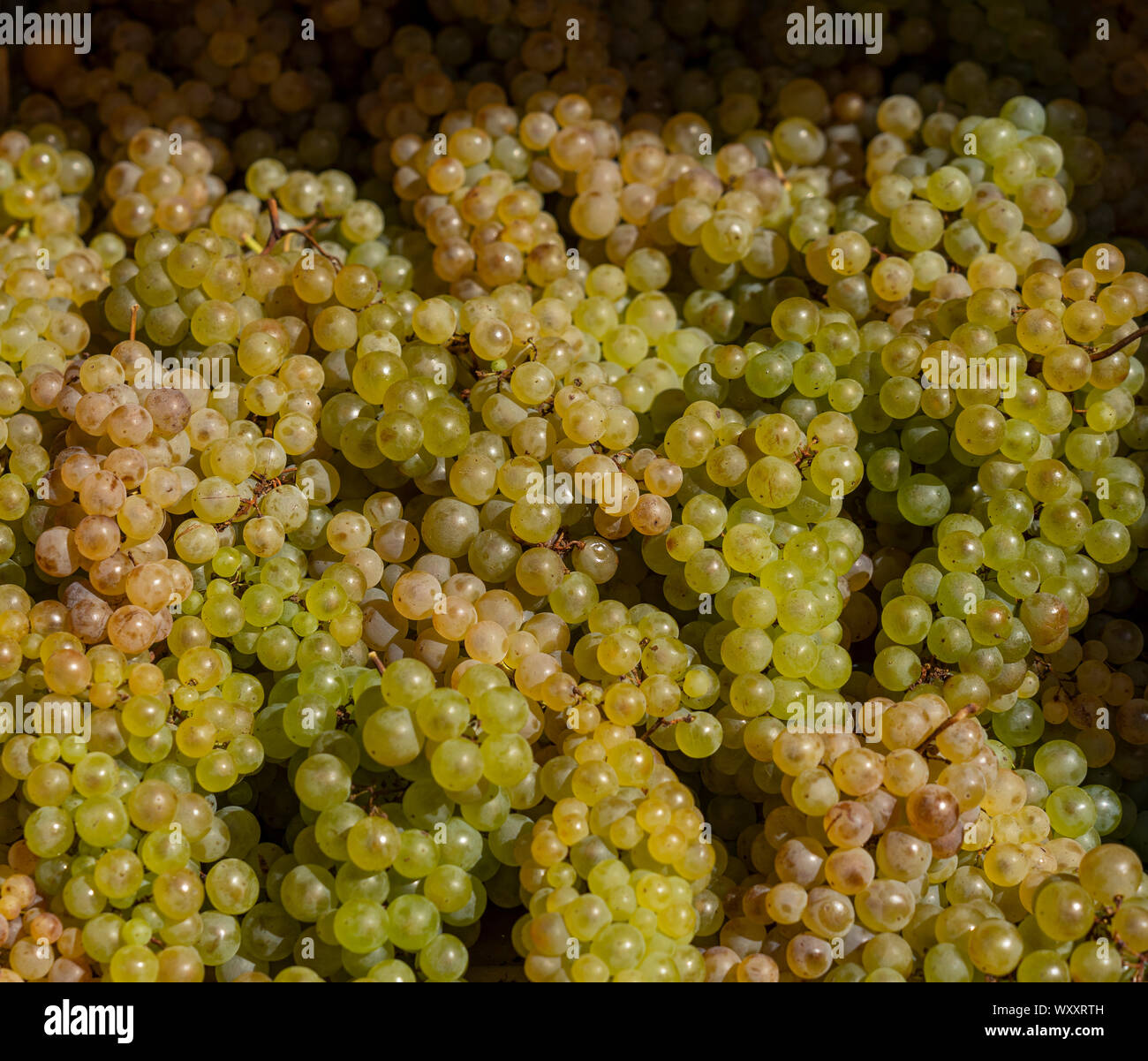 Green grapes on a market stall Stock Photo - Alamy