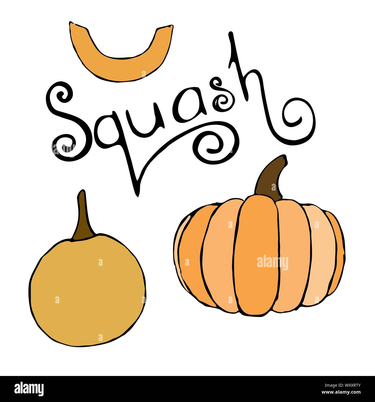 Fresh raw squash pumpkins Stock Vector Images - Alamy