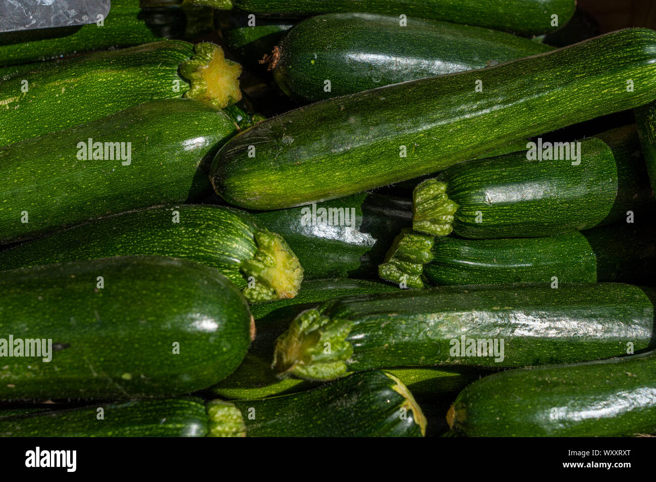 Courgettes on sale hi-res stock photography and images - Alamy