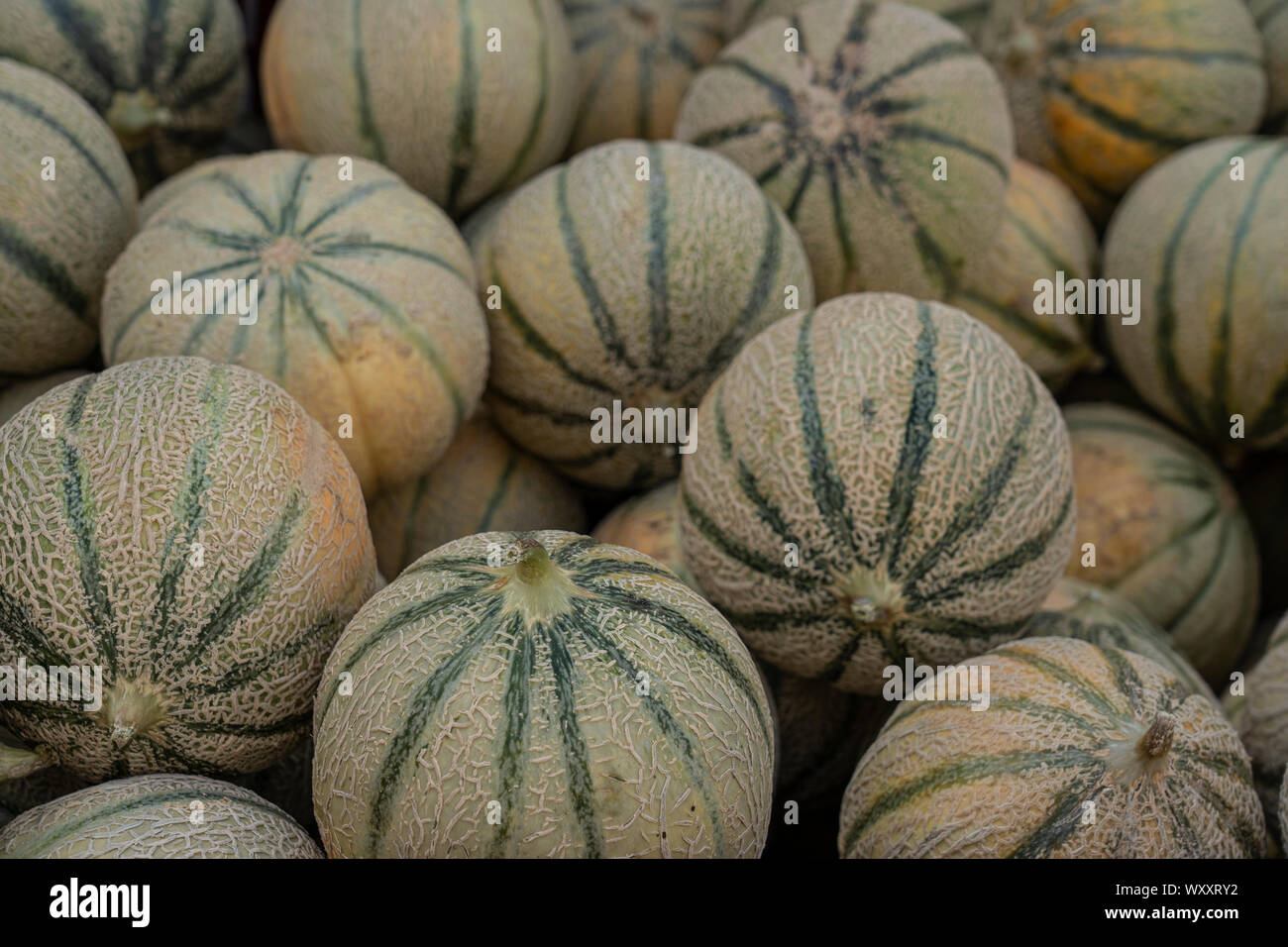Melons on sale on a market stall Stock Photo - Alamy