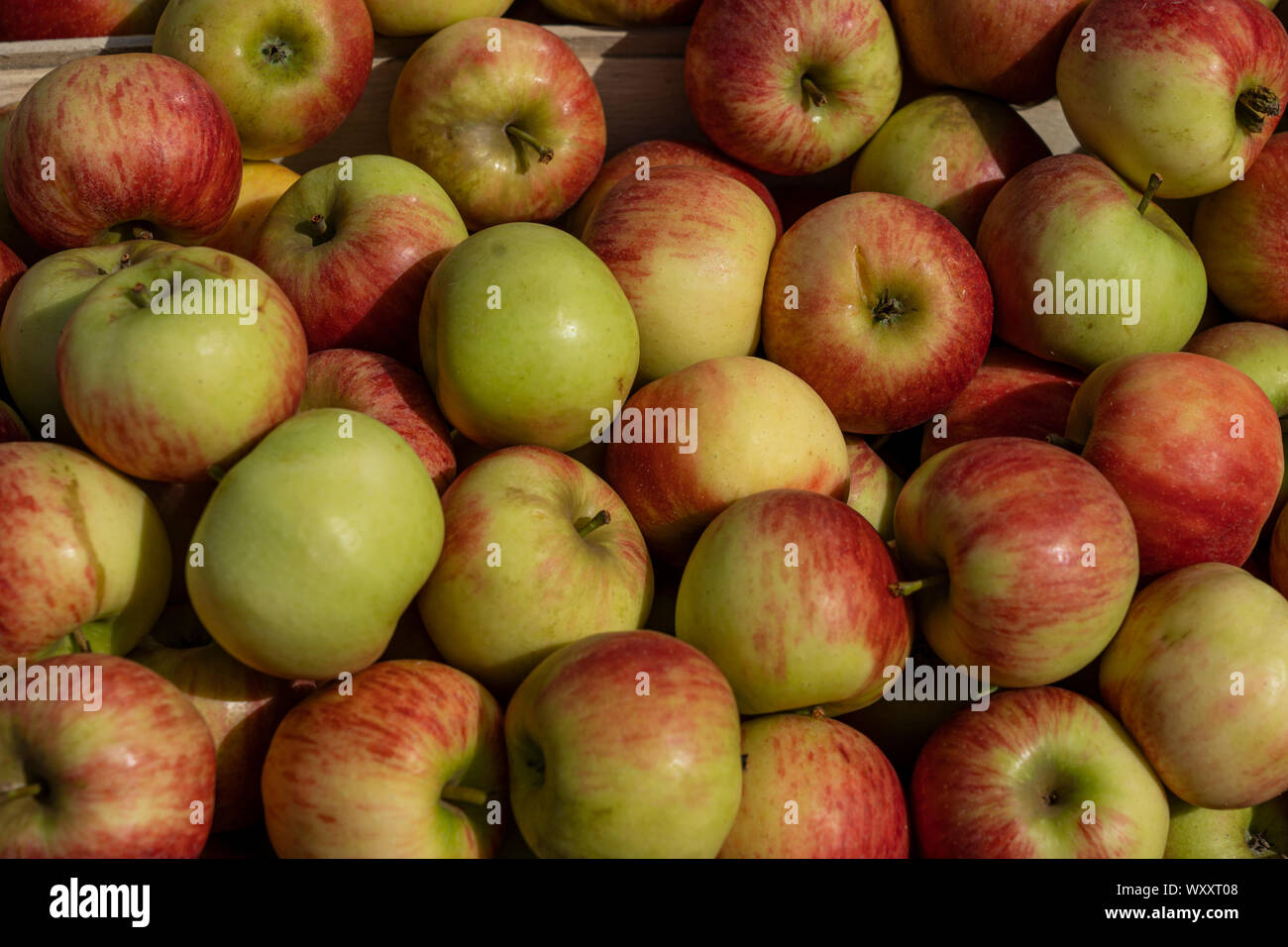 Red and green apples loose on a market stall Stock Photo - Alamy