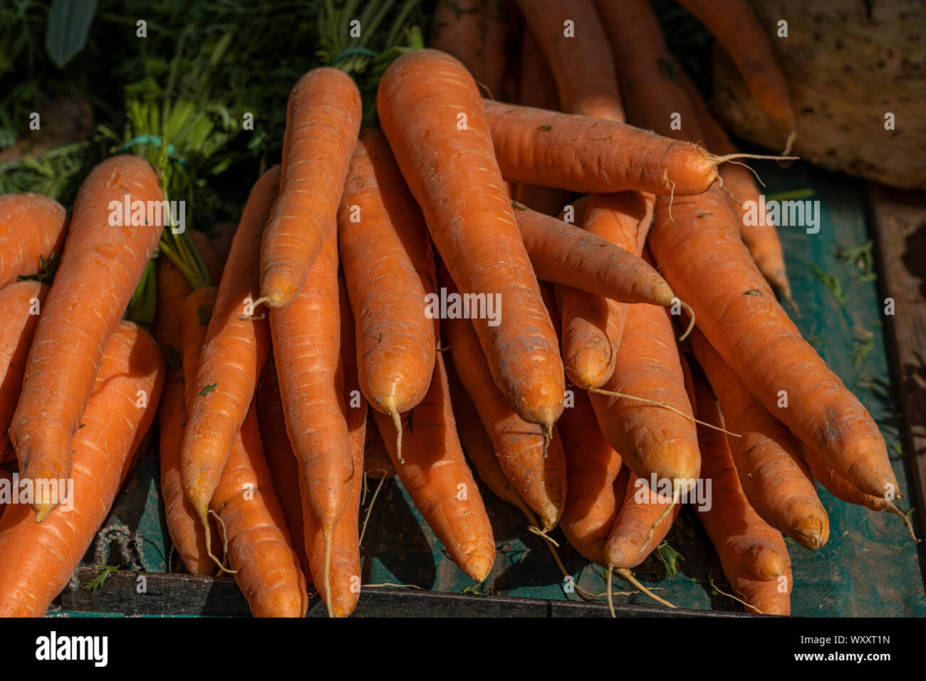 Fresh carrots on sale on a market stall Stock Photo - Alamy
