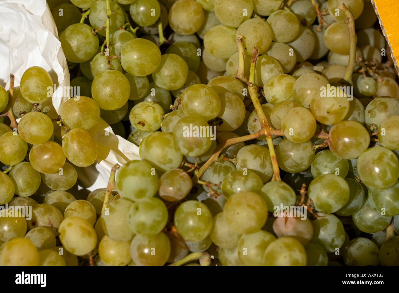 Green grapes on a market stall Stock Photo - Alamy