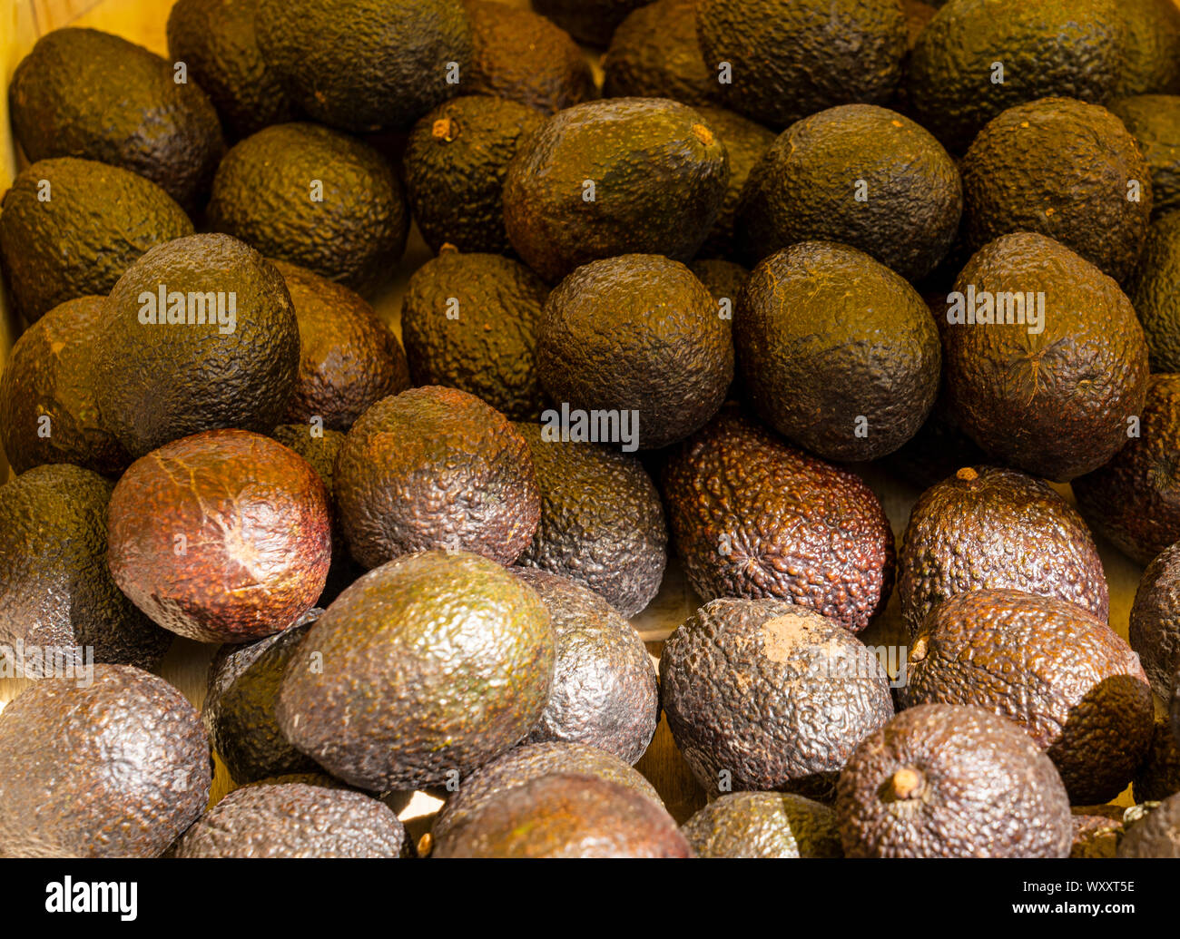 Fresh loose green avocado pears on sale on a market stall Stock Photo ...