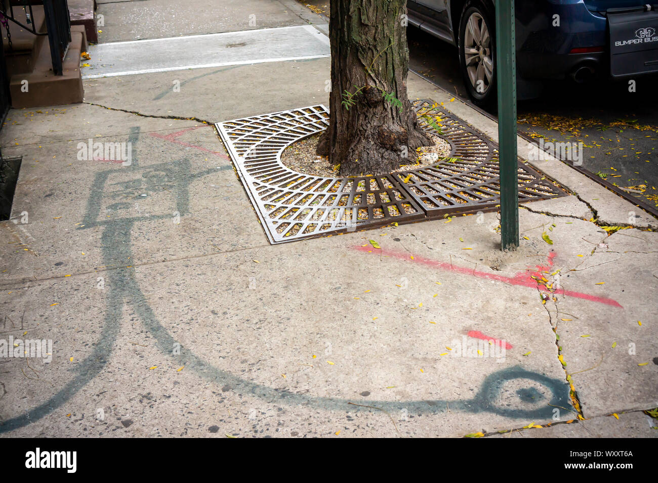 Tree roots sidewalk new york city hi-res stock photography and images ...