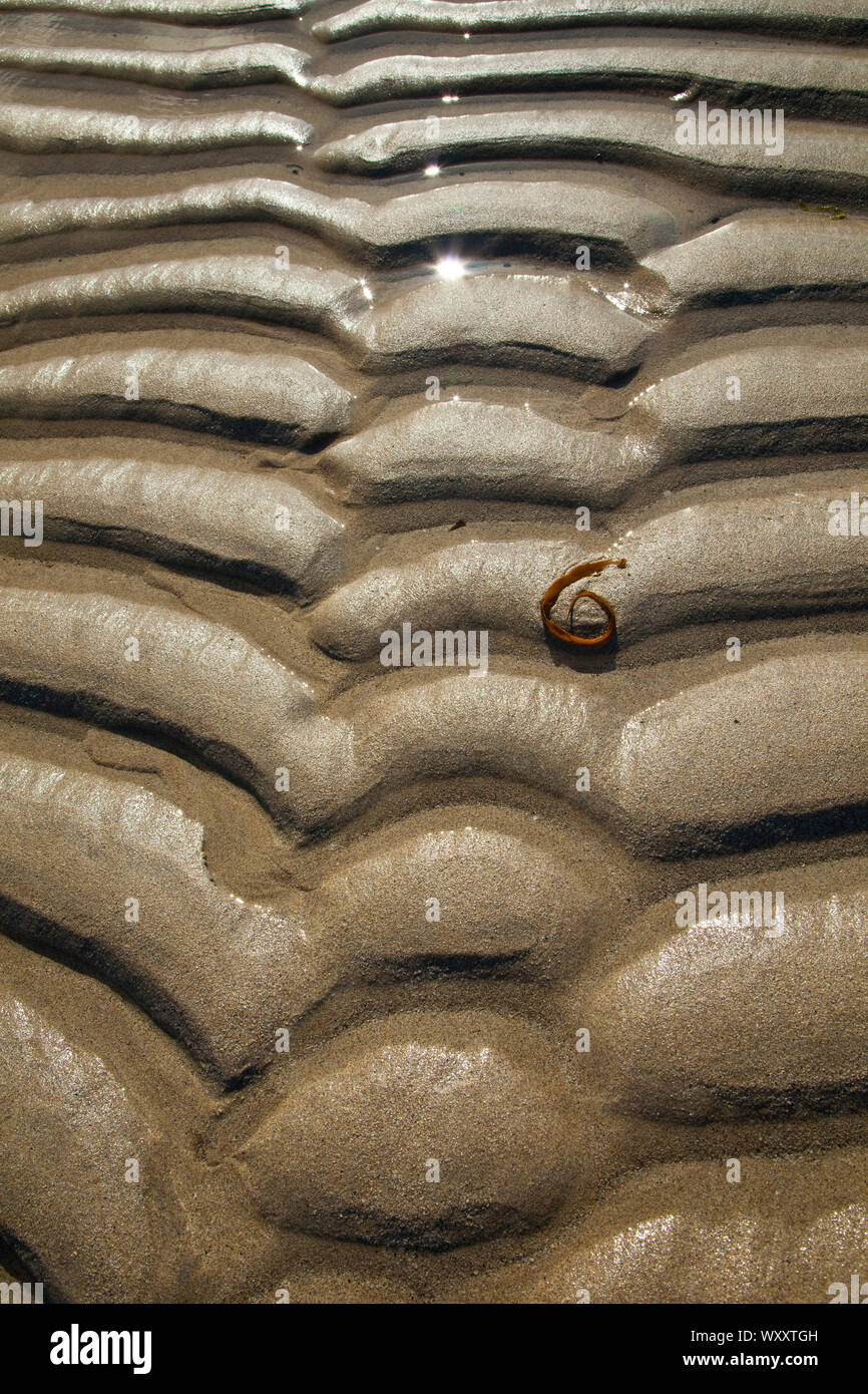 Tidal Patterns (Diseños de marea) Tràigh Uuige - Androil Beach. Lewis ...