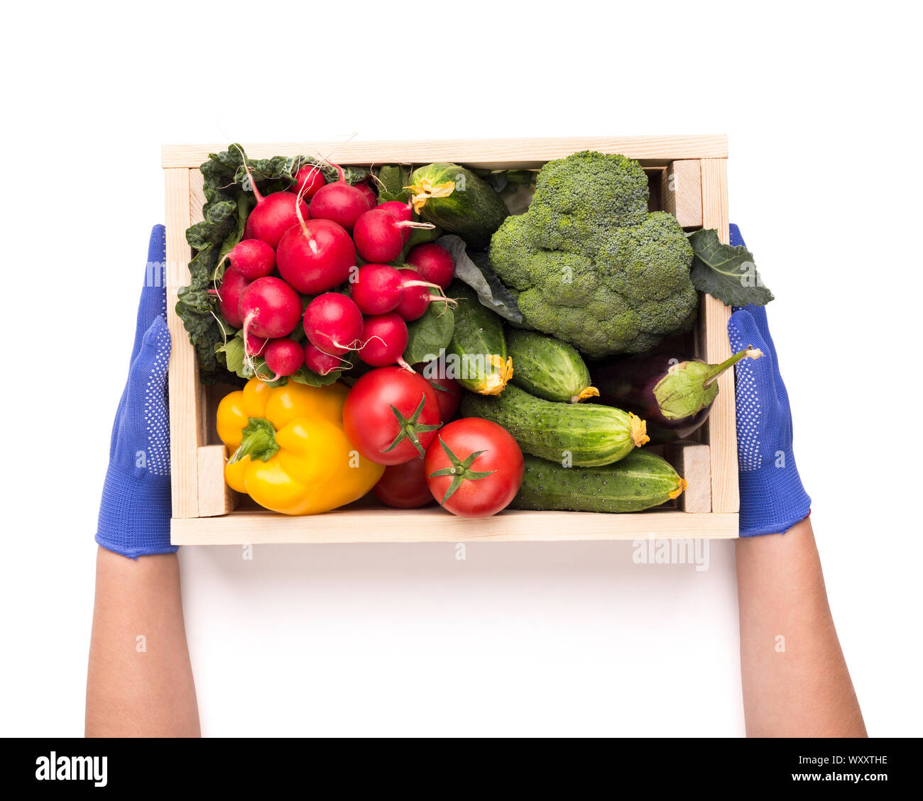 Farmer holding vegetables in farm Cut Out Stock Images & Pictures - Alamy
