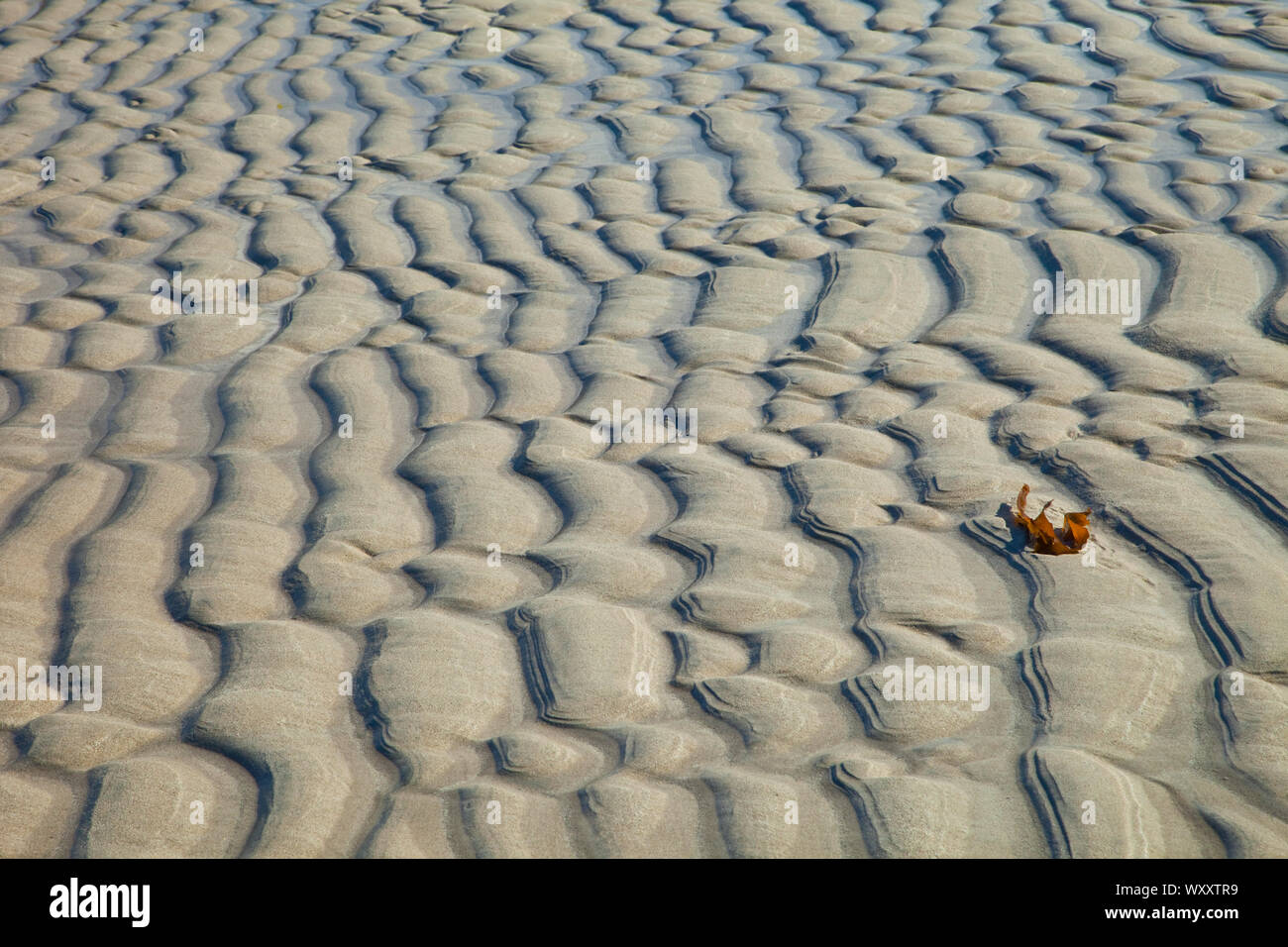 Tidal Patterns (Diseños de marea) Tràigh Uuige - Androil Beach. Lewis ...