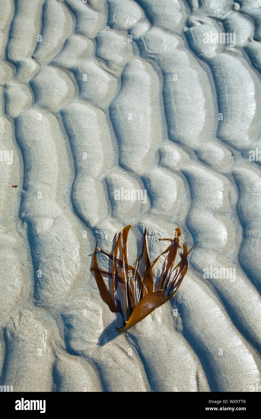 Tidal Patterns (Diseños de marea) Tràigh Uuige - Androil Beach. Lewis ...