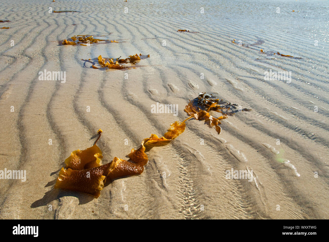 Tidal Patterns (Diseños de marea) Tràigh Uuige - Androil Beach. Lewis ...