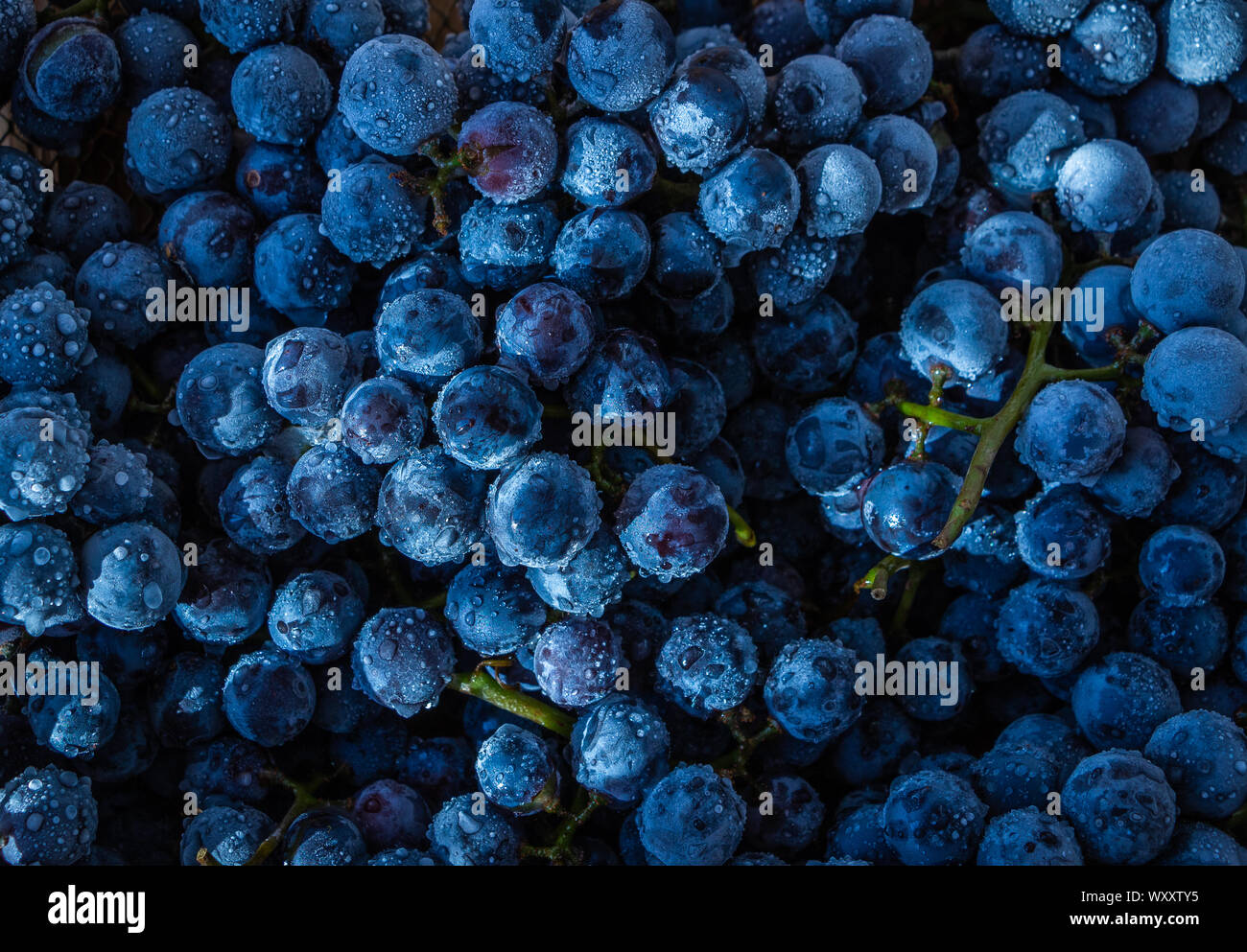 Frozen grapes close up hi-res stock photography and images - Alamy