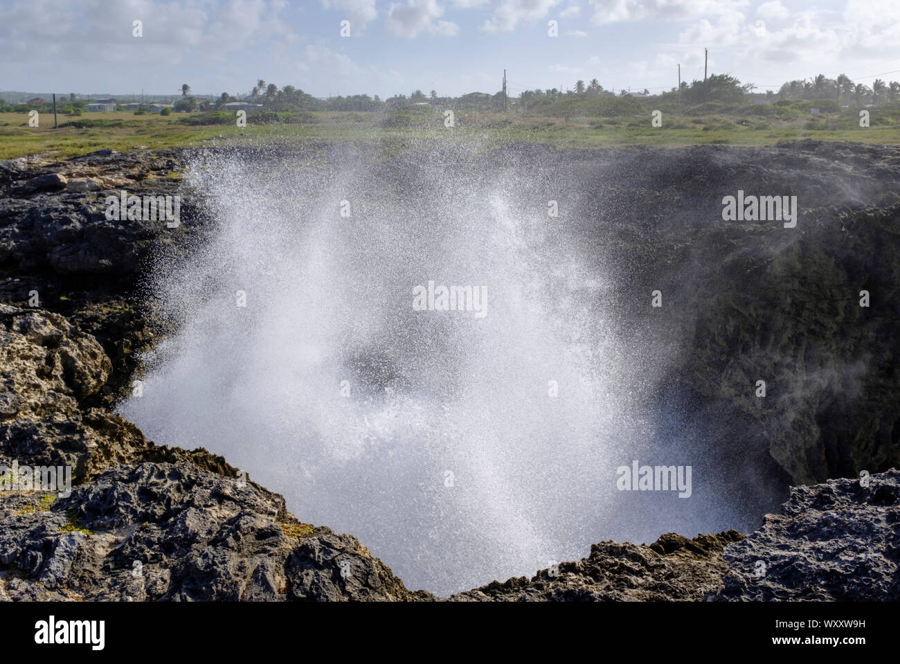 Water spray erupts from a blow hole carved by the waves in the ...