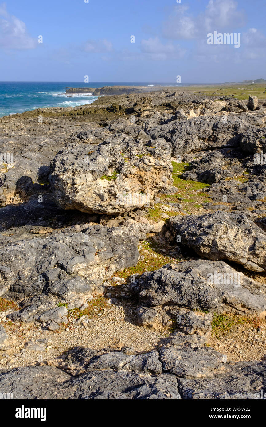 Rough coast barbados hi-res stock photography and images - Alamy