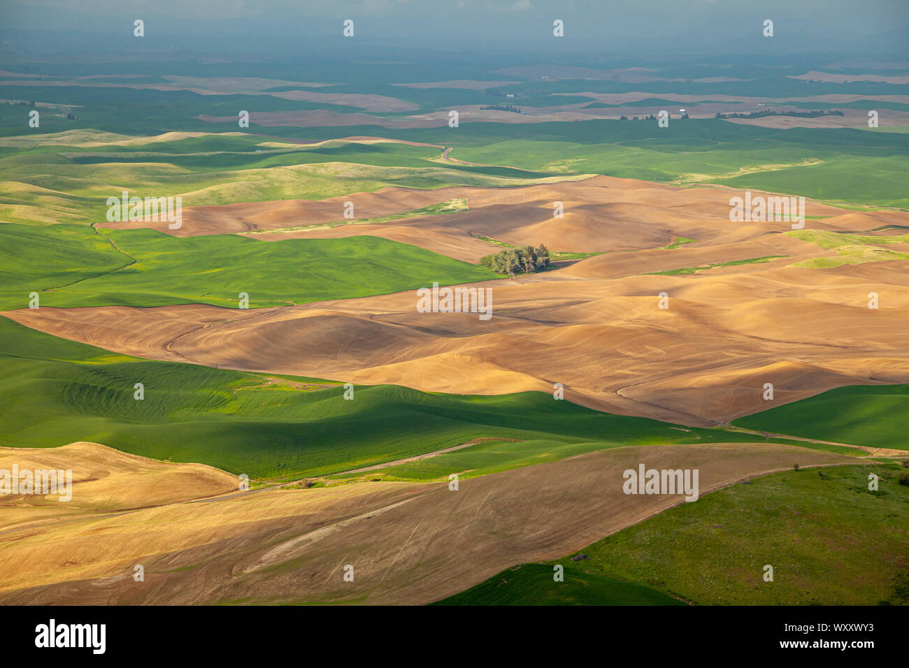 Aerial of palouse region hi-res stock photography and images - Alamy