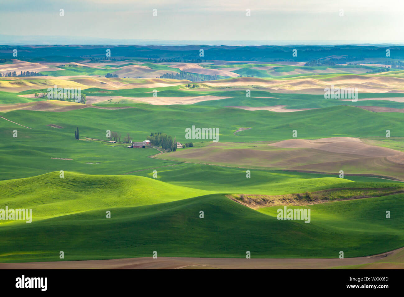 Aerial view of the farmland in the Palouse region of Eastern Washington ...