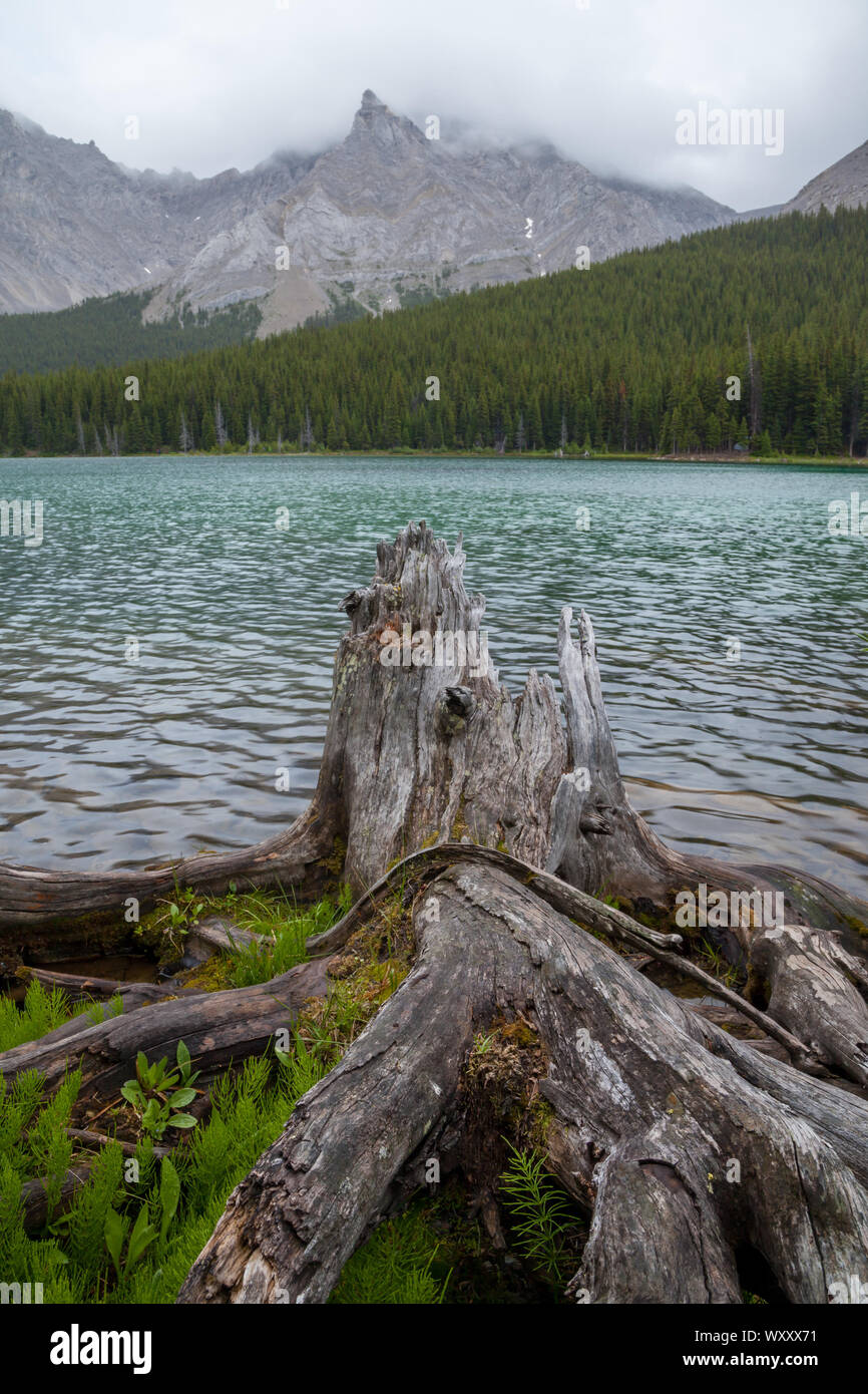 Elbow Lake, a popular hiking destination in Kananaskis on a stormy ...