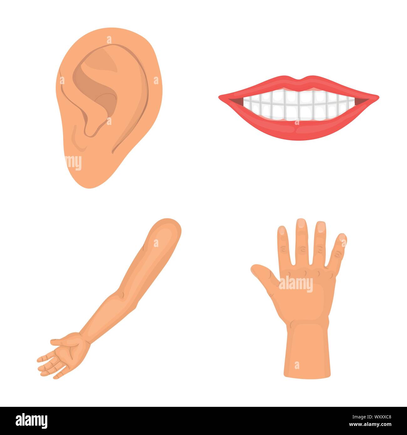 Isolated object of body and part symbol. Collection of body and anatomy ...