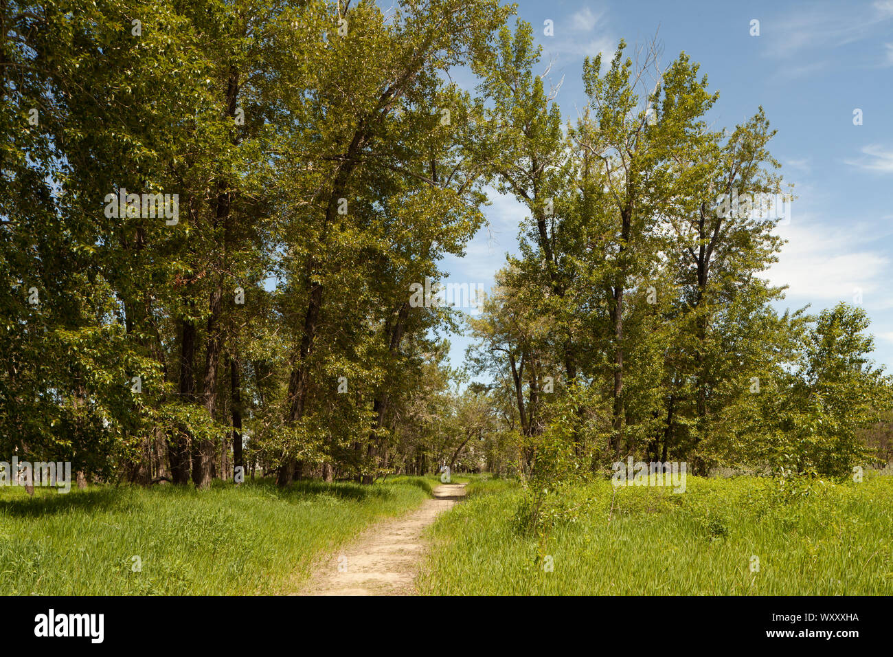 Going on foot hi-res stock photography and images - Alamy