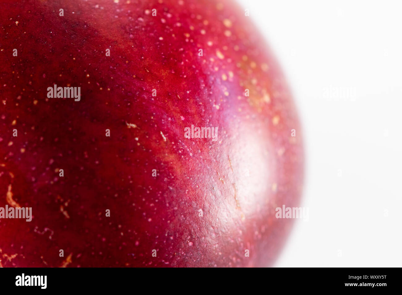 Fresh plum close up photography in white background Stock Photo - Alamy
