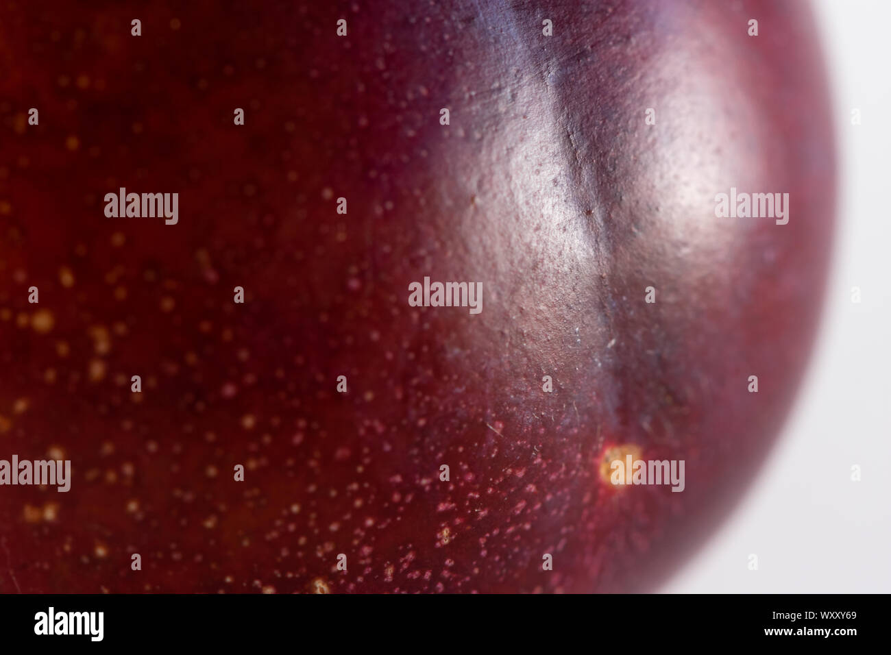 Fresh plum close up photography in white background Stock Photo - Alamy