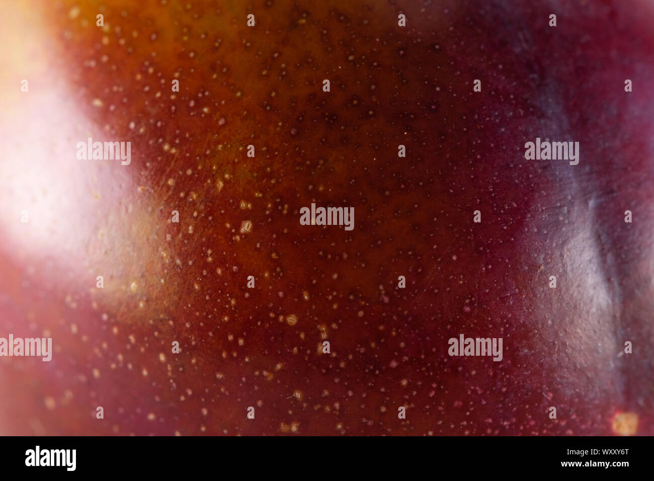 Fresh plum close up photography in white background Stock Photo - Alamy