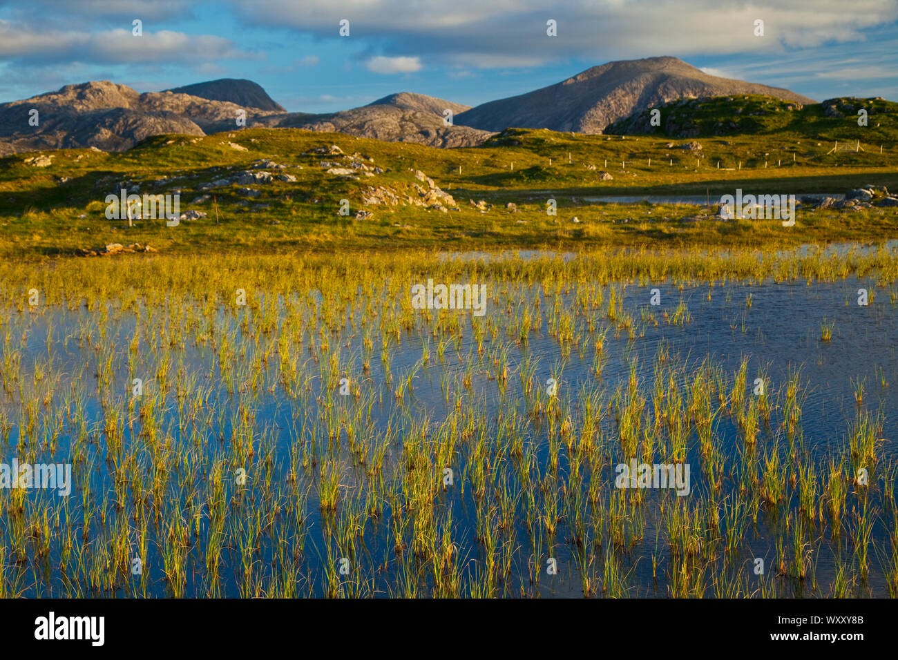 Lago Loch Dail Beag (Lake). Playa Dhail Beag Beach. West Lewis island ...