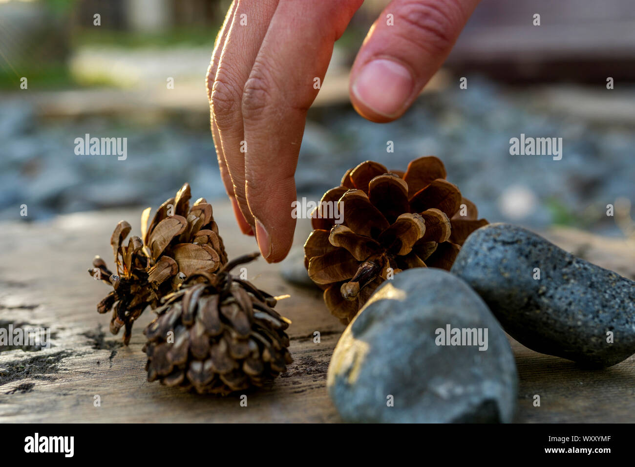 Cone of stone hi-res stock photography and images - Alamy