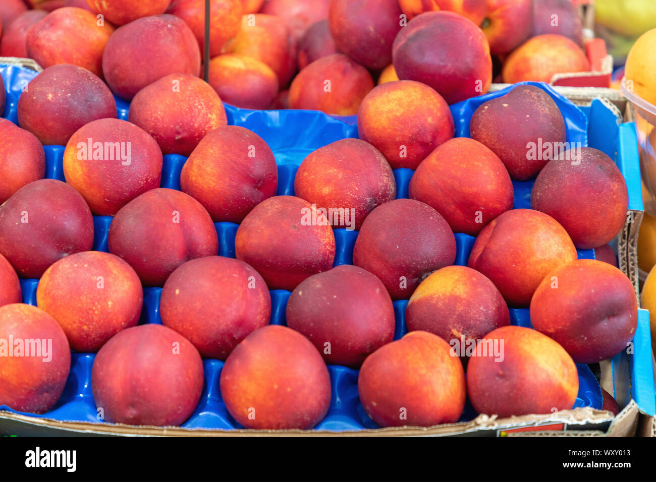 Nectarine Peach Fruits in Crate at Farmers Market Stock Photo - Alamy