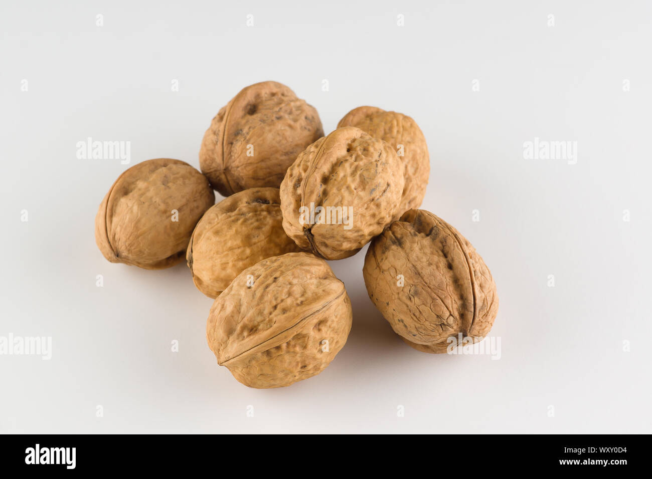 Walnut closeup image isolated on white background Stock Photo - Alamy