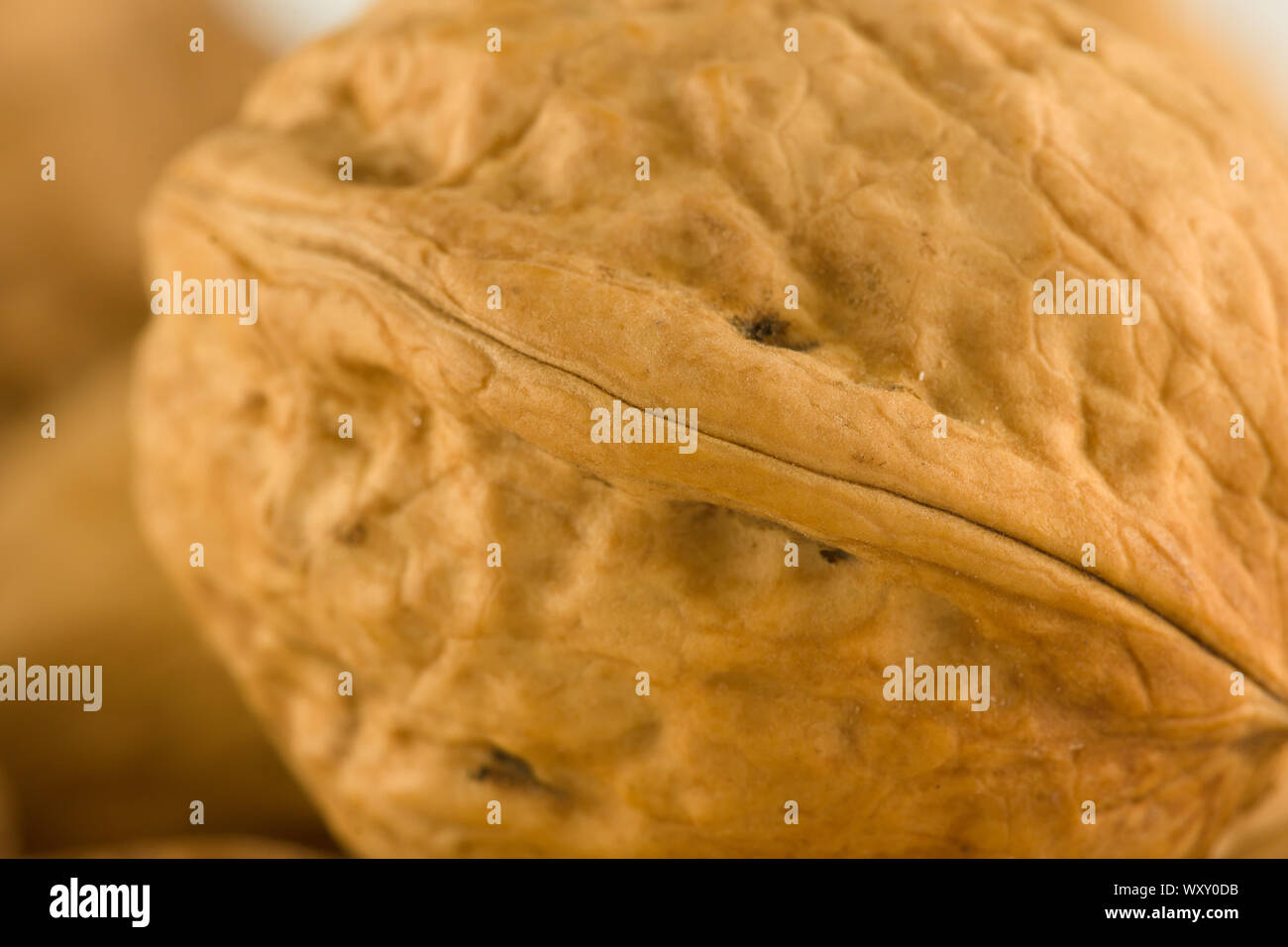 Walnut closeup image isolated on white background Stock Photo - Alamy