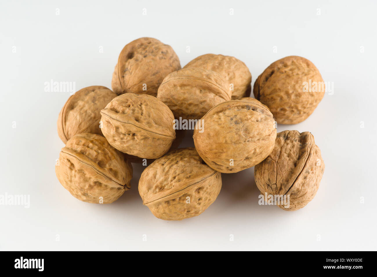 Walnut closeup image isolated on white background Stock Photo - Alamy