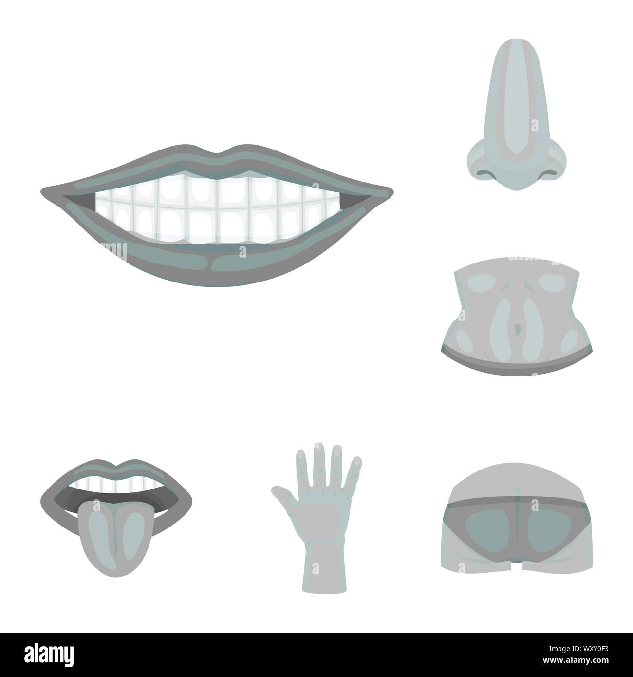 Vector design of body and part sign. Set of body and anatomy vector ...