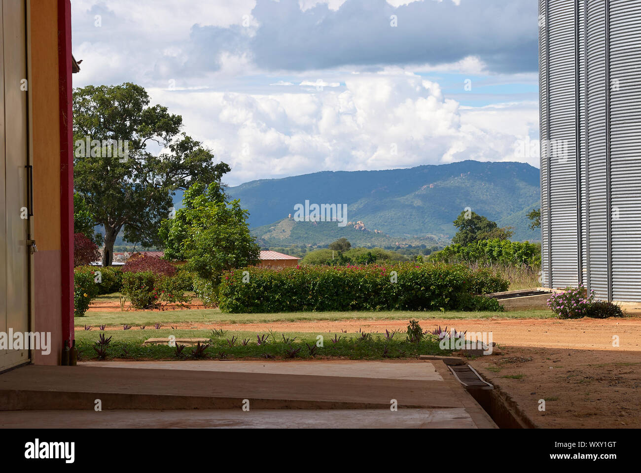 Tanzanian mountain hi-res stock photography and images - Alamy