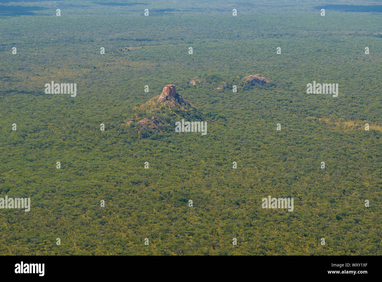 African woodlands hi-res stock photography and images - Alamy