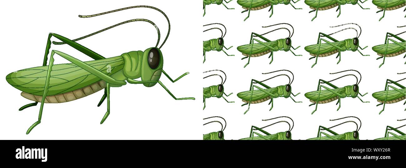 Seamless and isolated animal pattern cartoon illustration Stock Vector ...