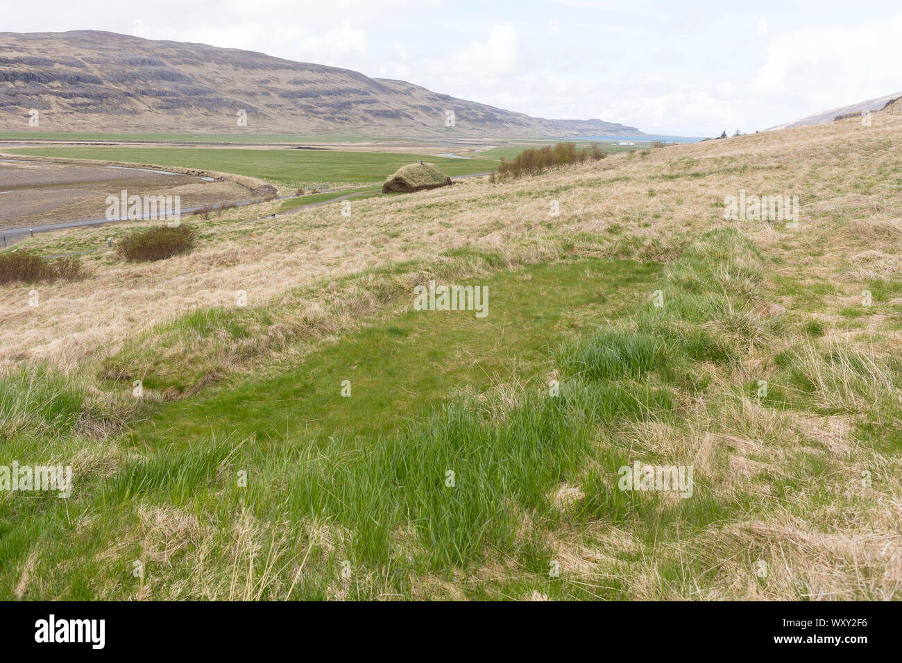 Viking history hi-res stock photography and images - Alamy