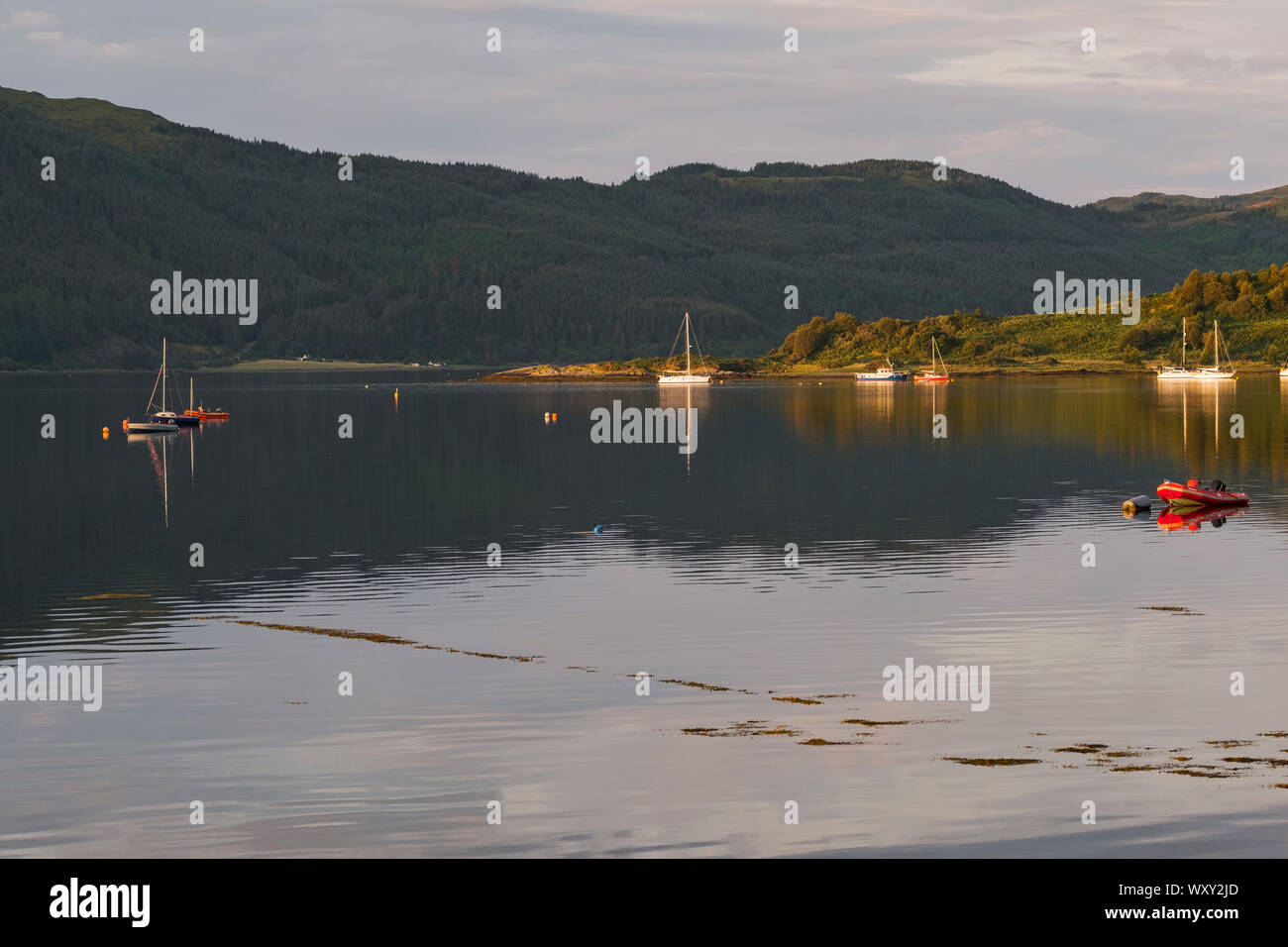 Loch Carron by the village of Lochcarron, Wester Ross, Highlands of ...