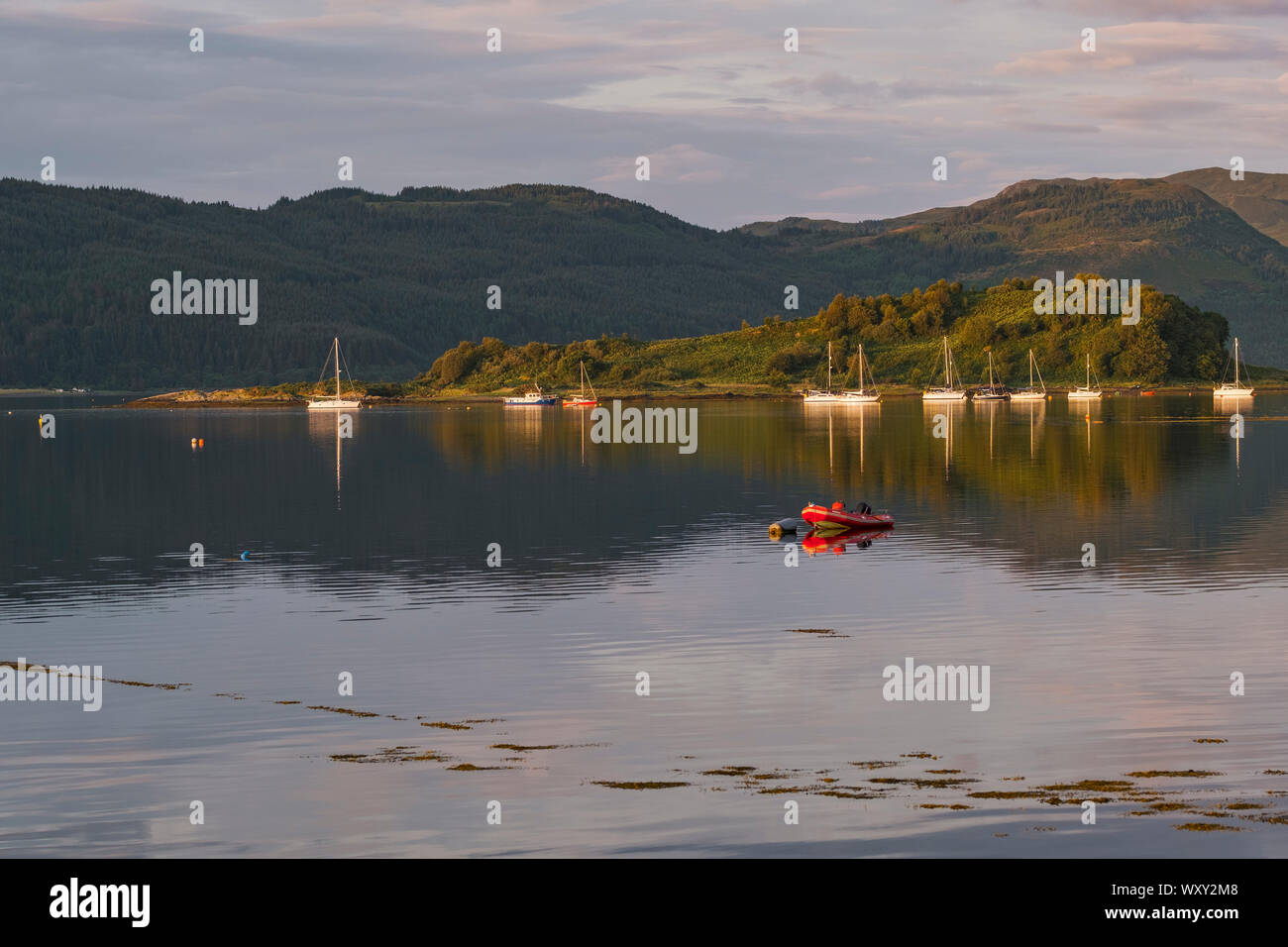 Strathcarron scotland loch hi-res stock photography and images - Alamy