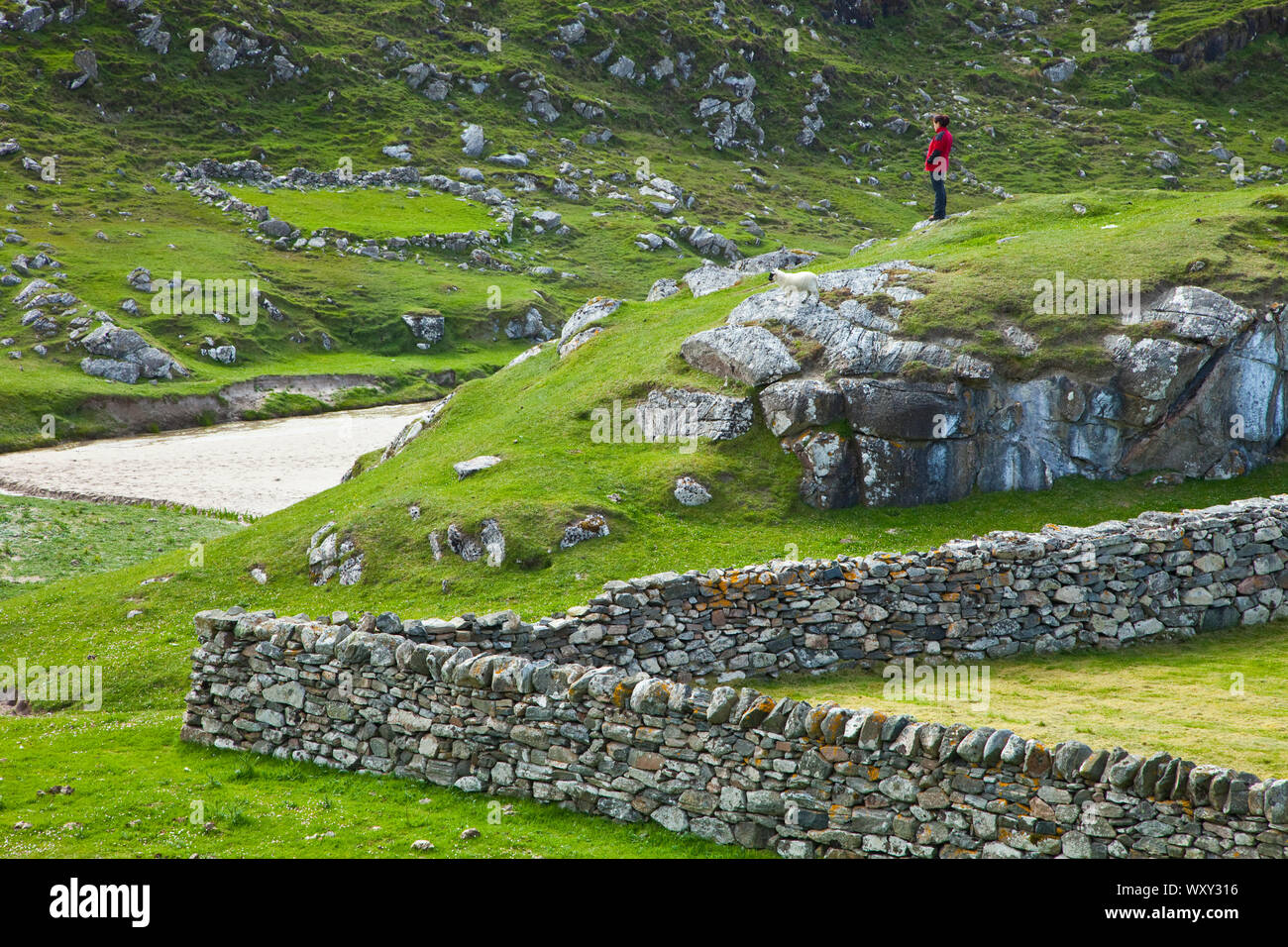 Cementerio junto a playa Bostadh (Cemetery nearby Bostadh Beach). Great ...