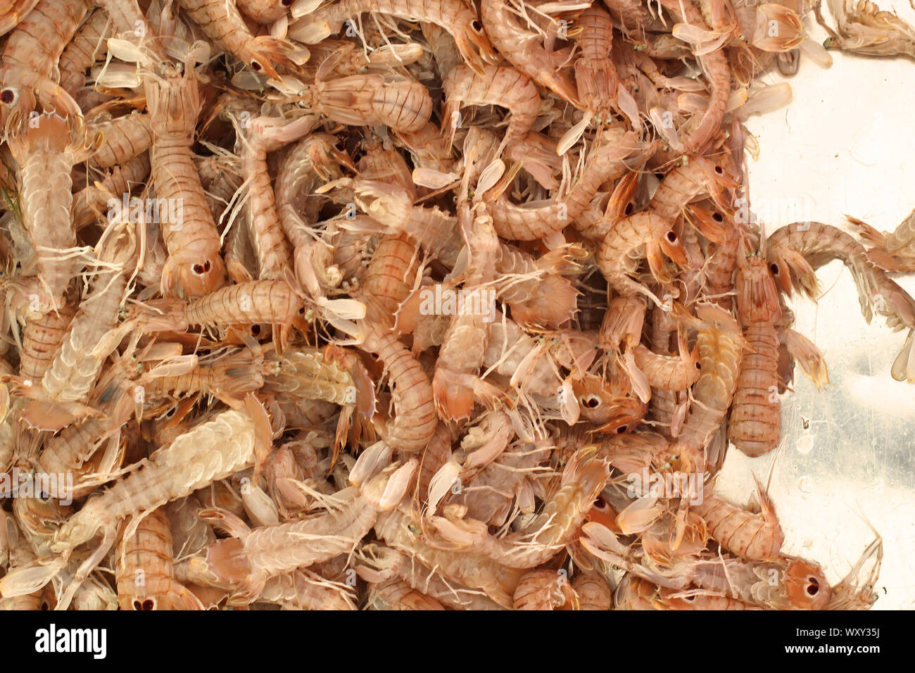 Shell on head on shrimp hi-res stock photography and images - Alamy