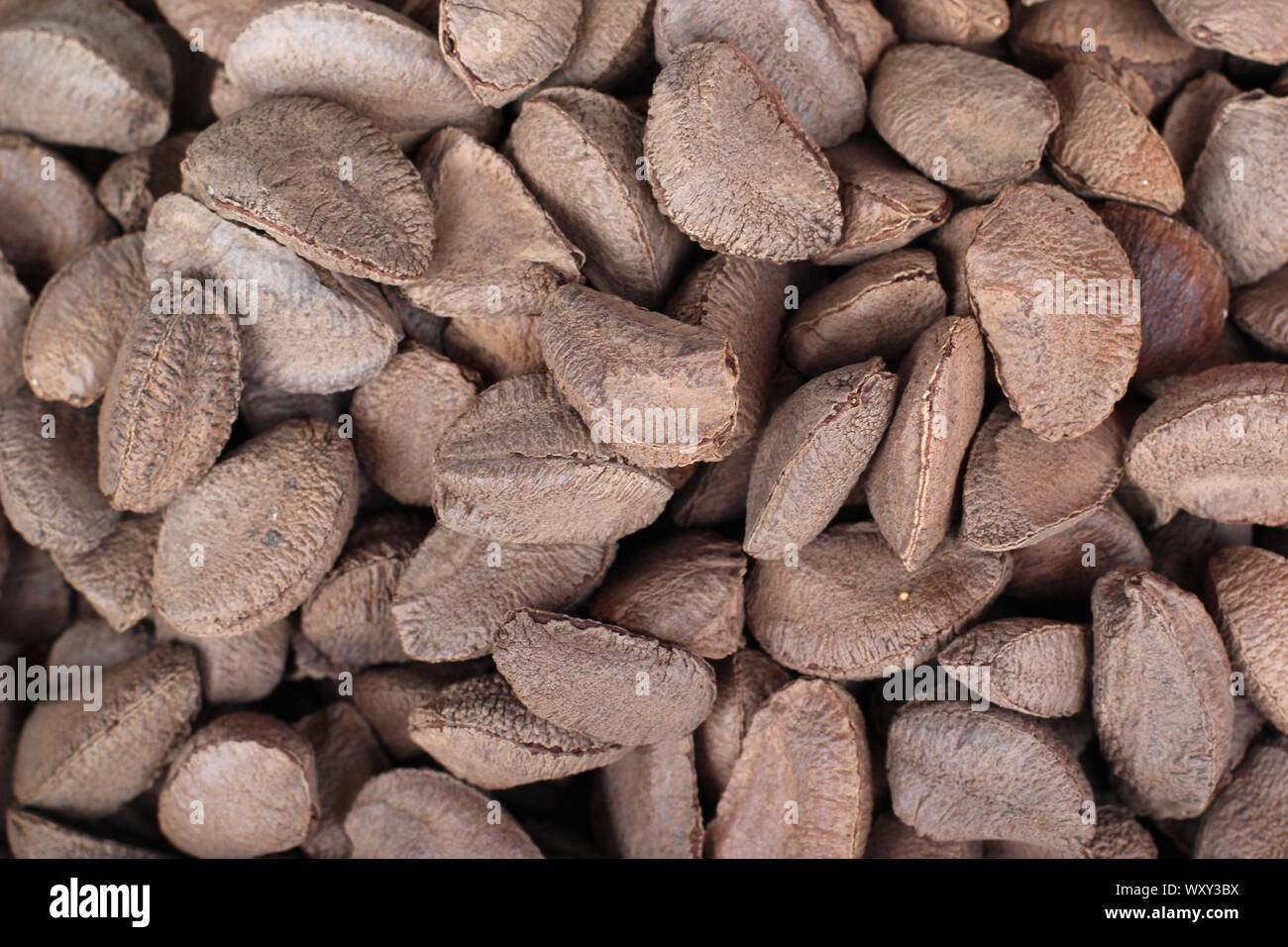 Brazil inshell nuts on the vegetable market counter Stock Photo - Alamy