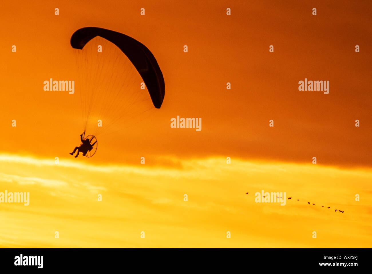 Powered hand glider silhouetted in the evening sun, takes a motorized ...