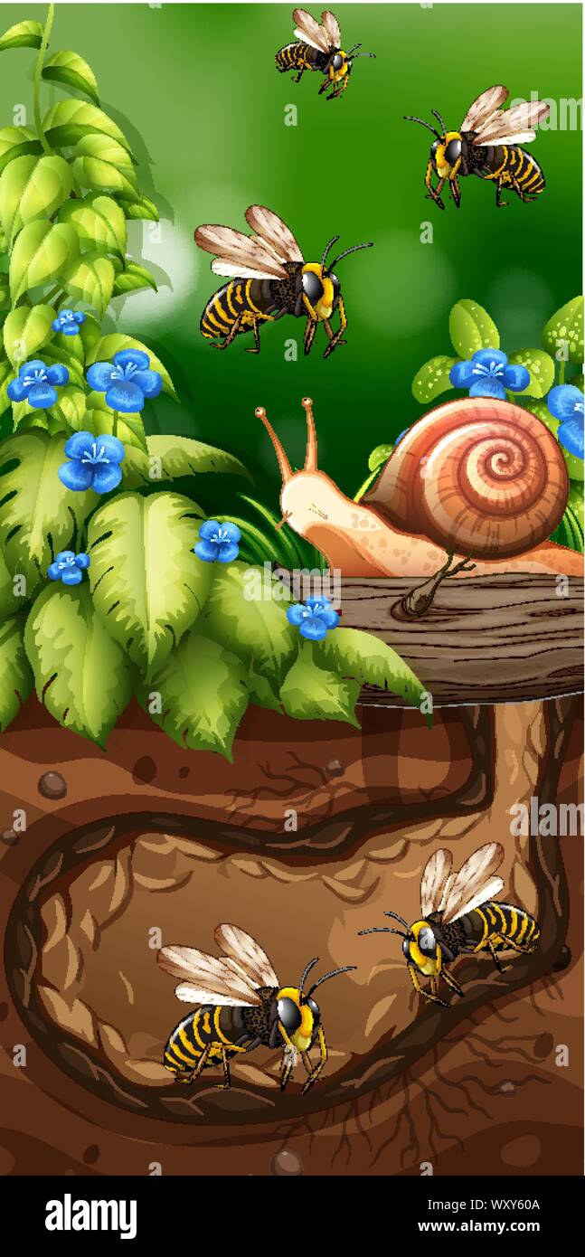 Landscape design with bees underground illustration Stock Vector Image ...