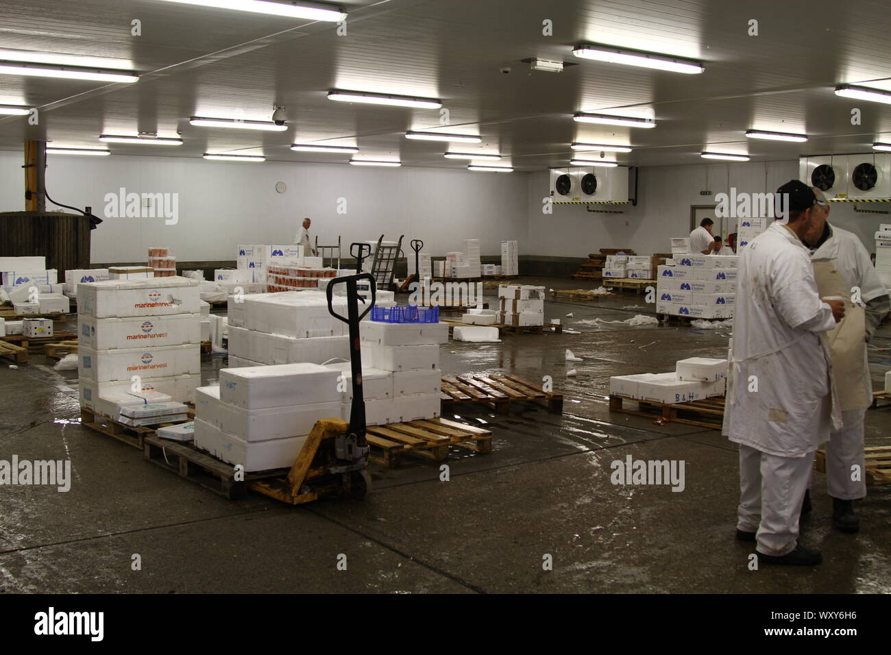 Fresh fish storage area hi-res stock photography and images - Alamy